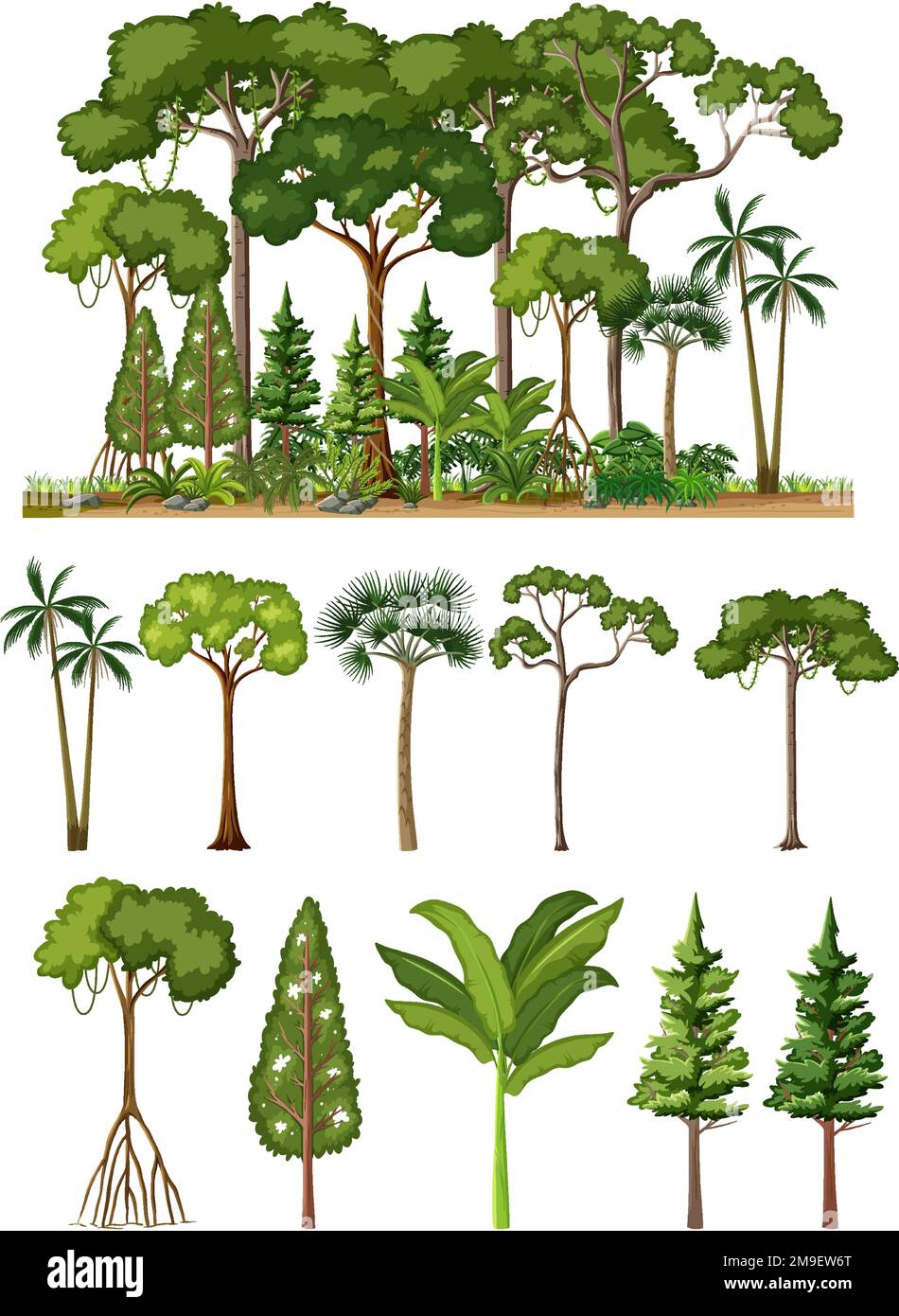 Set of tropical trees isolated illustration Stock Vector Image & Art ...