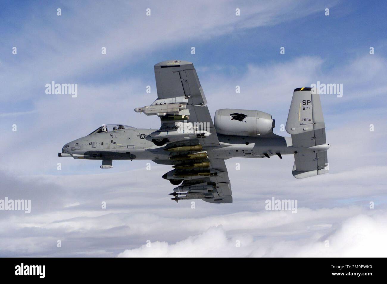 The US Air Force A-10 Thunderbolt II, flagship of the 81st Fighter ...