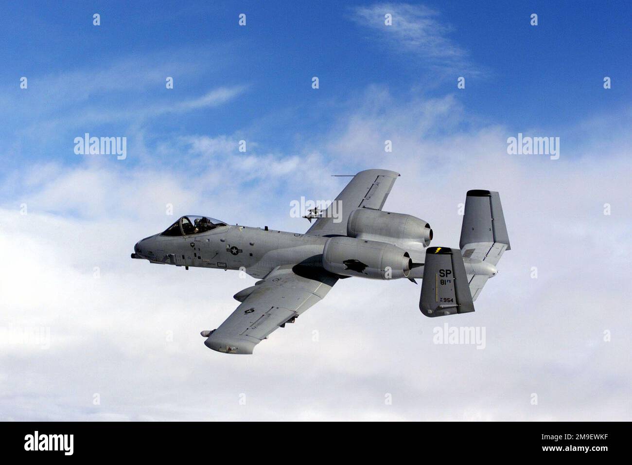 The US Air Force A-10 Thunderbolt II, flagship of the 81st Fighter ...