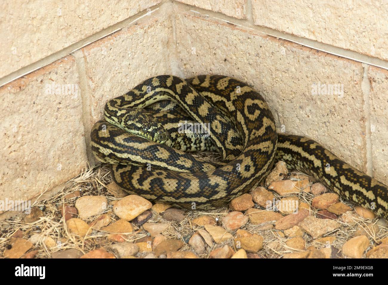 Brick gravel path hi-res stock photography and images - Alamy