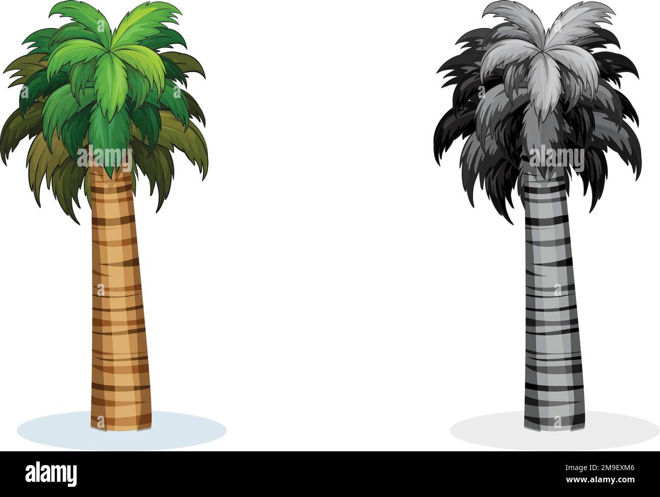Tropical Palm Trees, Bright tropical decoration. Vector flat style ...