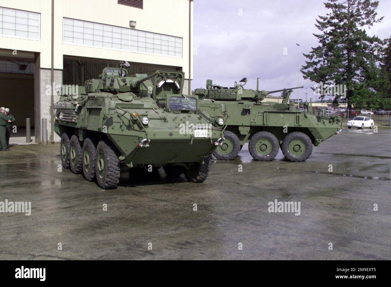 Light Armored Vehicles (LAV) III armored personnel carriers, recently ...