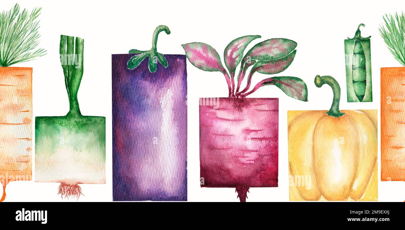 Watercolor vegetables elements seamless border, carrot, onion, beetroot ...