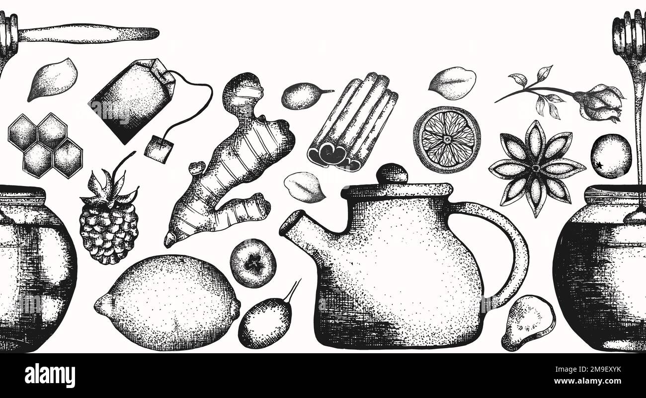 Hand drawn tea elements seamless border, ginger and lemon illustration ...
