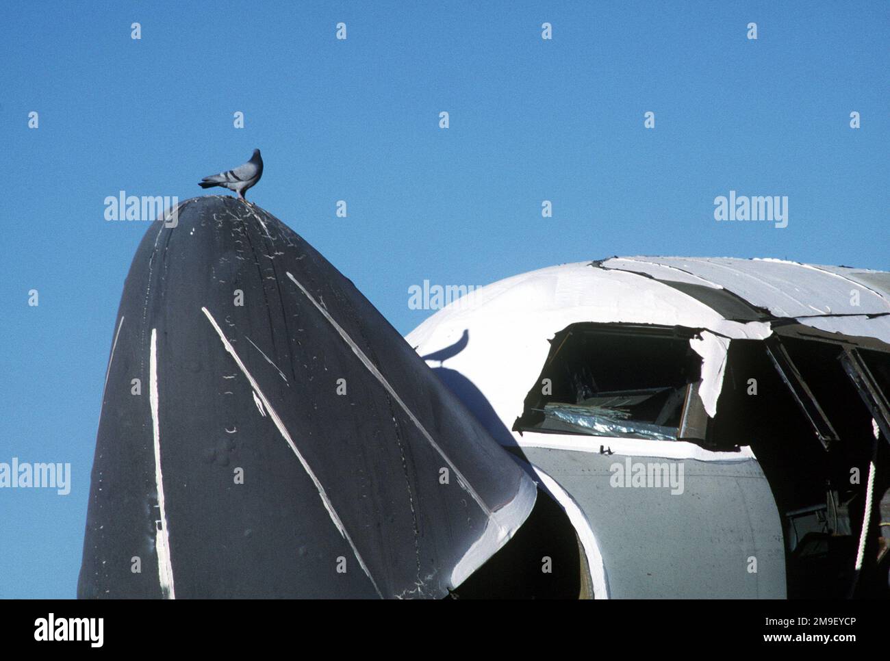 Fish wars native hi-res stock photography and images - Alamy