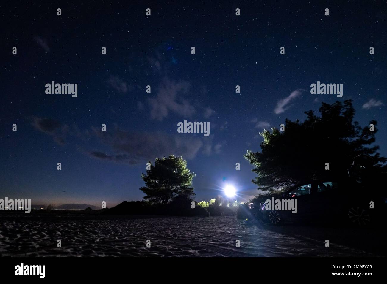 The starry sky over the field with several trees Stock Photo - Alamy