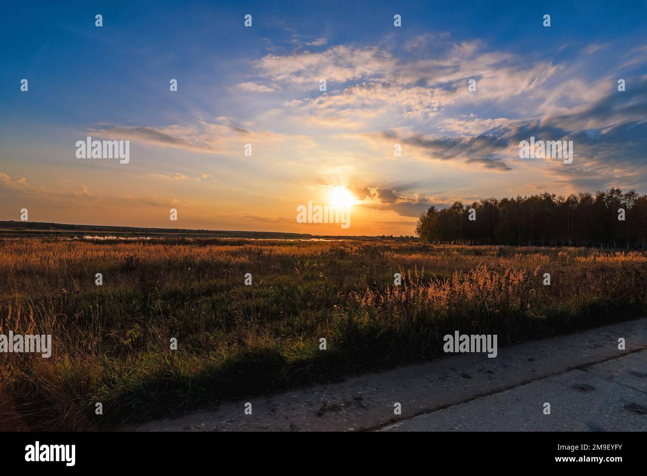 summer landscape with meadow and beautiful sunset with forest and river ...