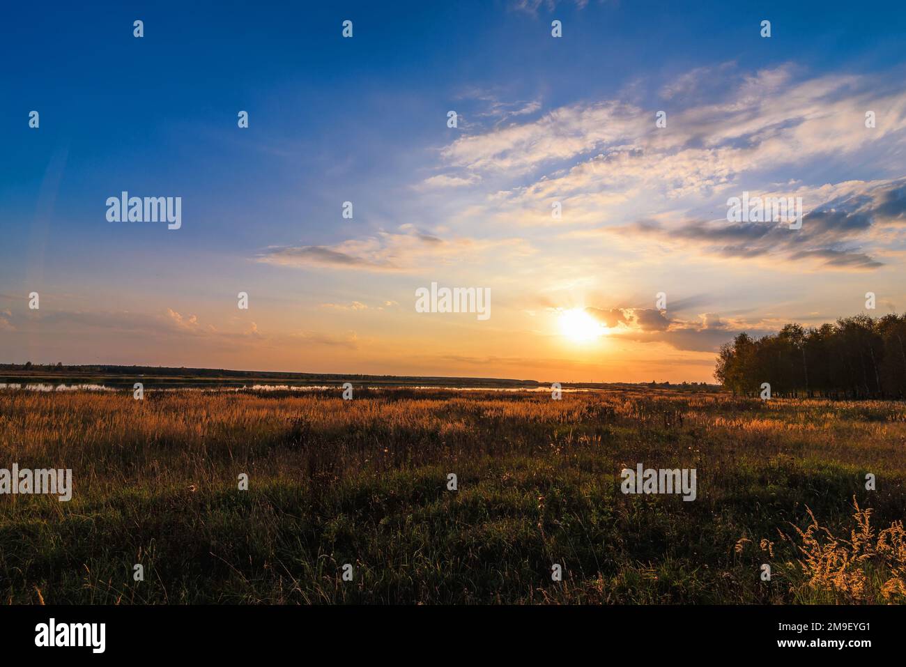 summer landscape with meadow and beautiful sunset with forest and river ...