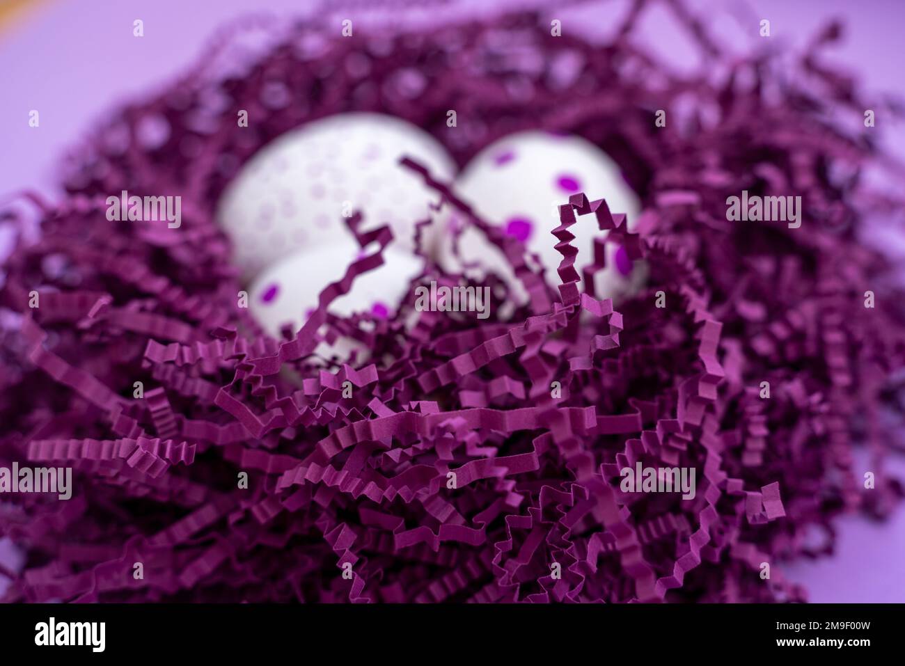 Colorful eggs in purple artificial bird's nest isolated on purple ...