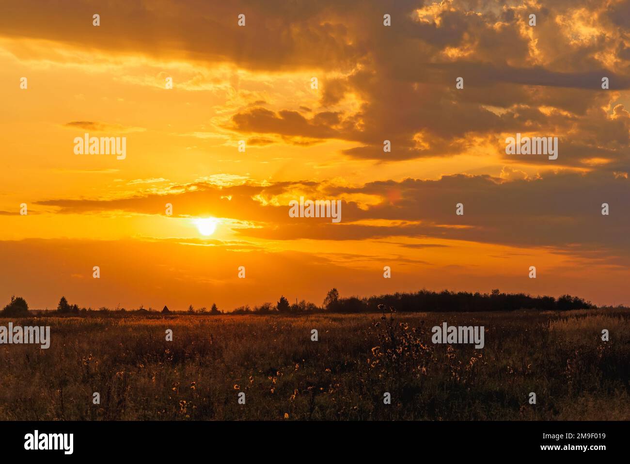 landscape with Golden sunset in autumn in the field. Orange sunrise in ...
