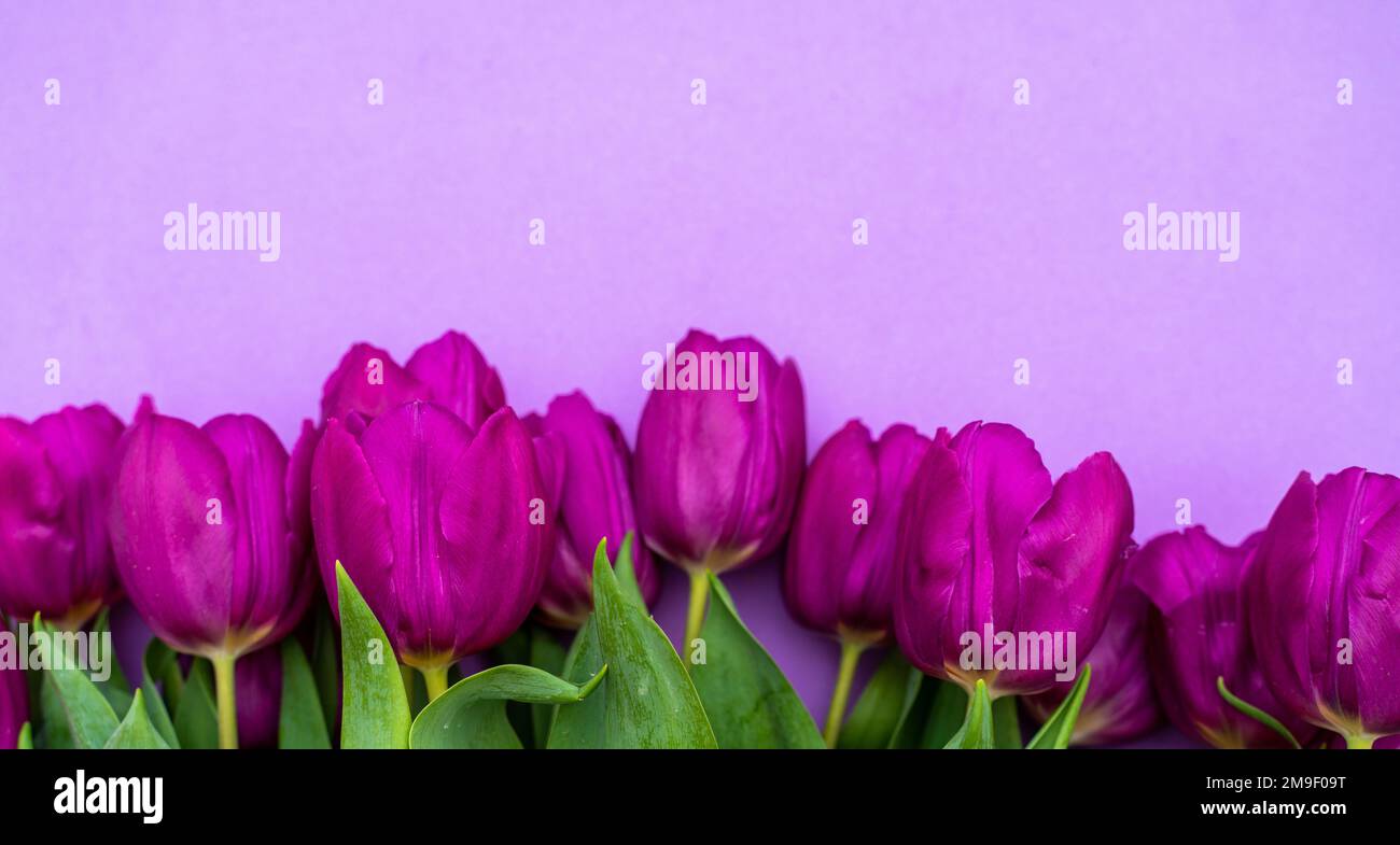 mother's day background. view from above. Beautiful bouquet of purple ...