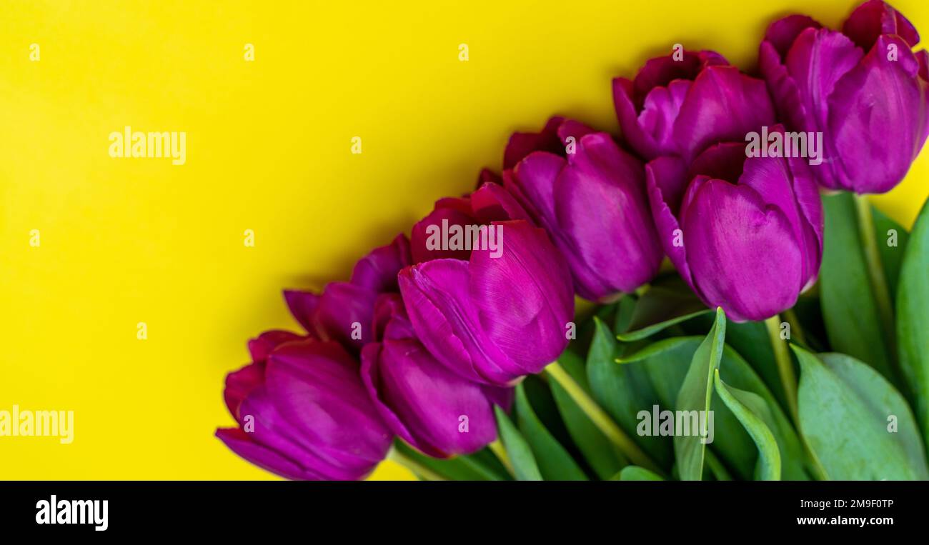 Mother's Day background. View from above. Beautiful bouquet of purple ...