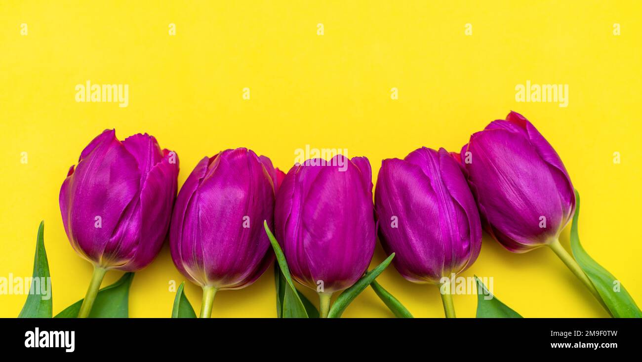 Mother's Day background. View from above. Beautiful bouquet of purple ...