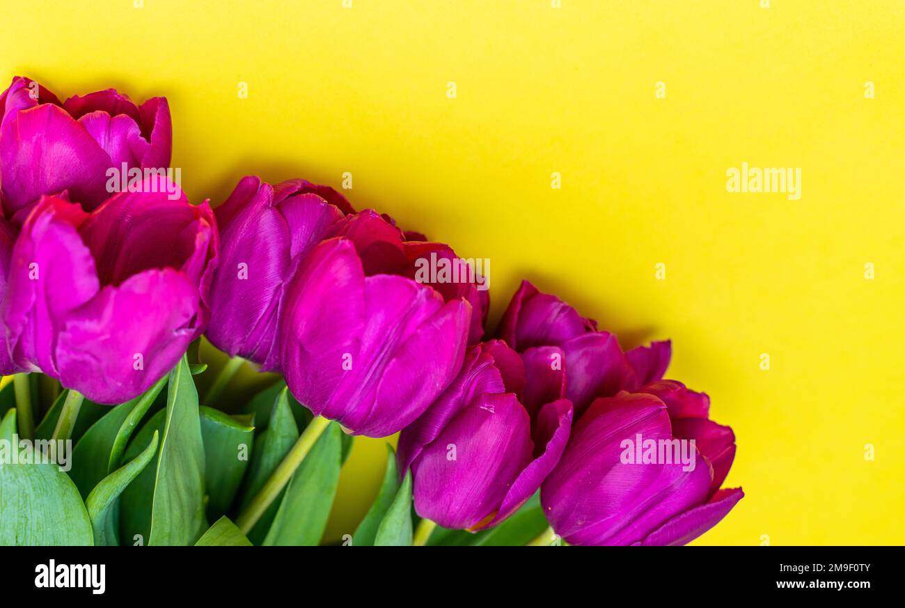 Mother's Day background. View from above. Beautiful bouquet of purple ...