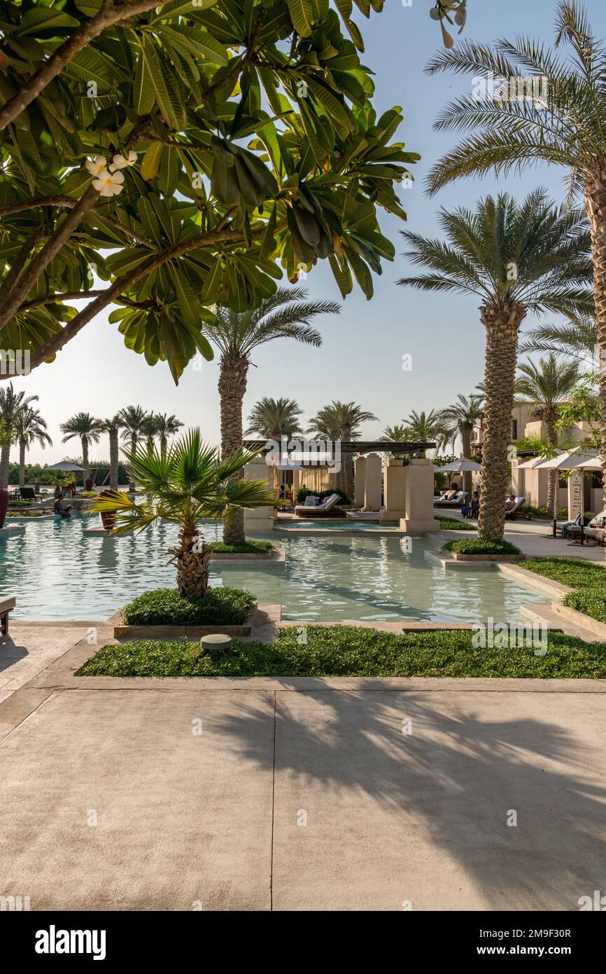 The vast infinity pool with palm trees and cabanas at the Al Wathba ...