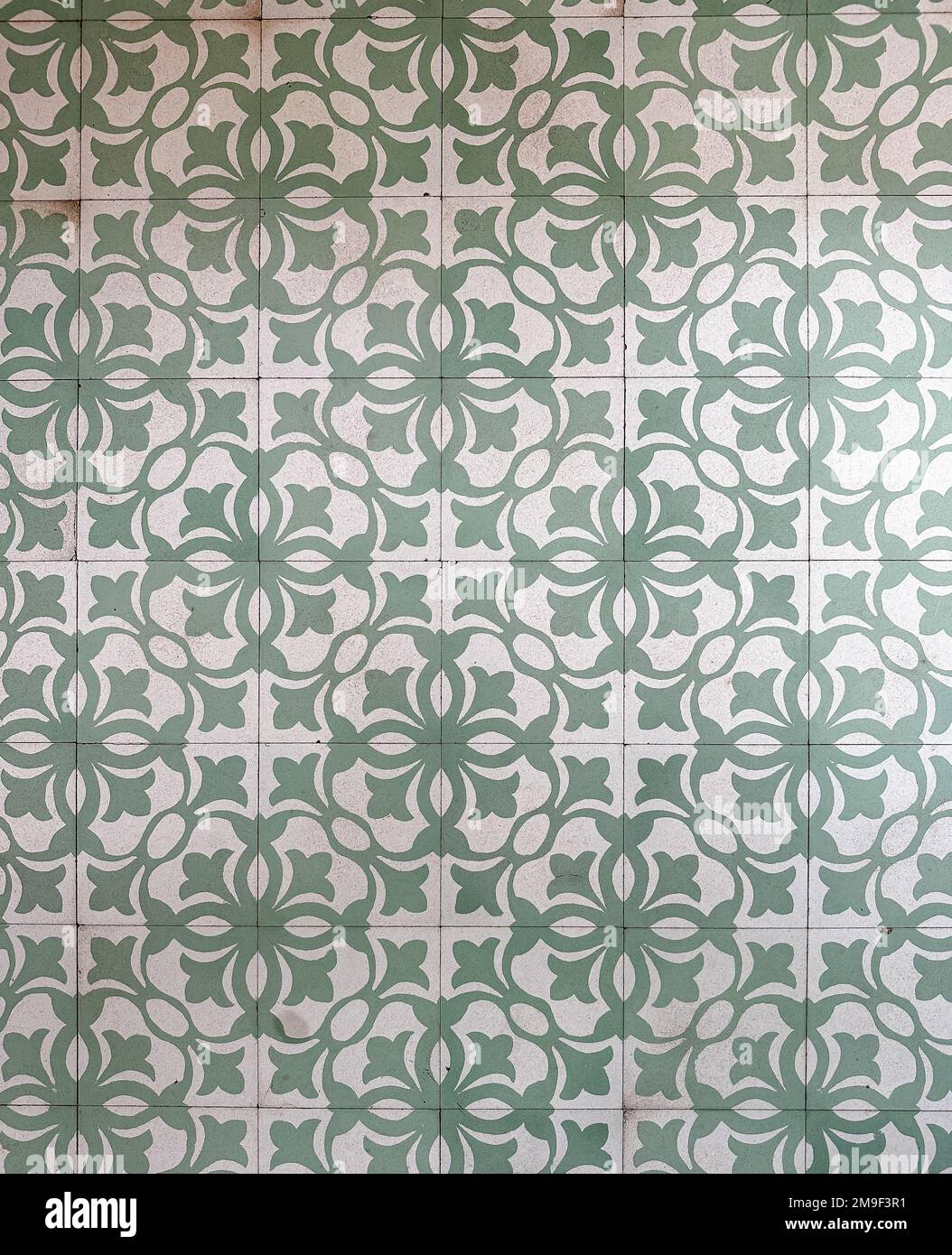 Seamless Green flpatterned floor tile - high res image Stock Photo - Alamy