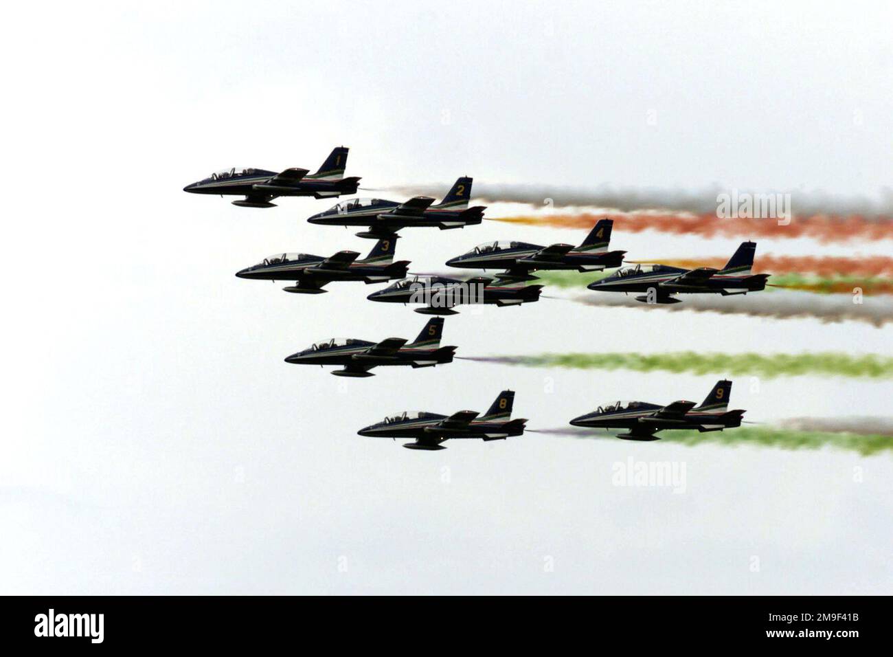 Frecce Tricolore, The Italian National Aerobatic Team, does a low pass ...