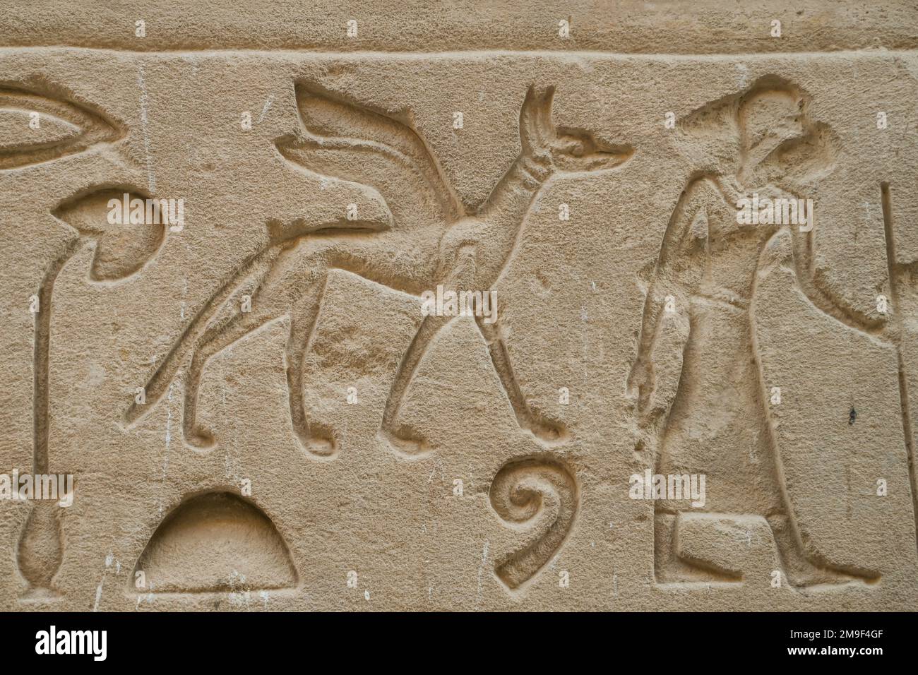Hund tempel hi-res stock photography and images - Alamy Hund tempel hi-res stock photography and images - Alamy