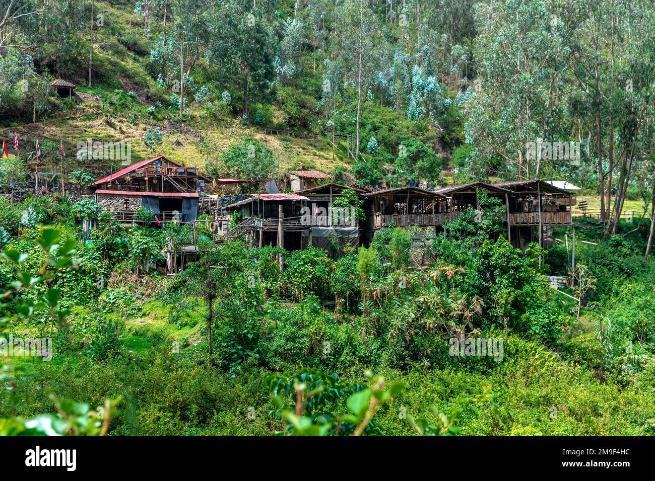 houses in trees, forest villages Stock Photo - Alamy