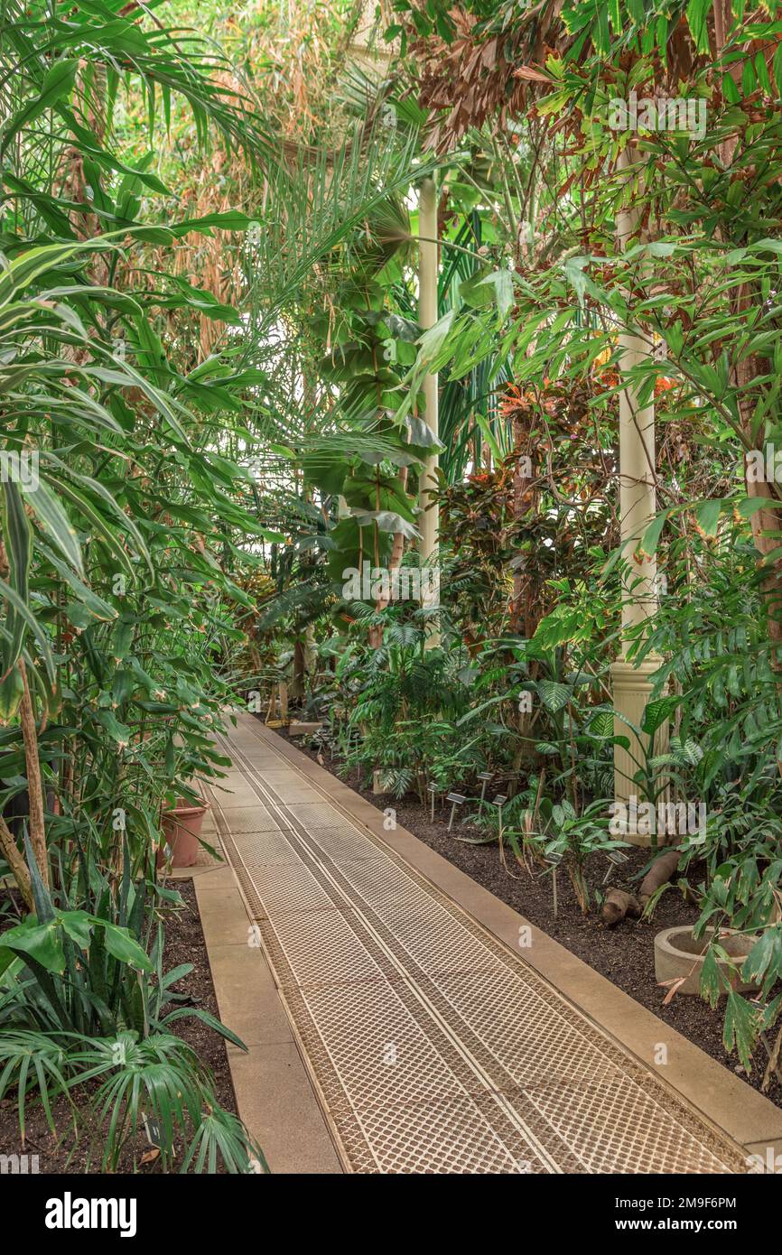A path with green plants and trees in National Botanic Gardens ...