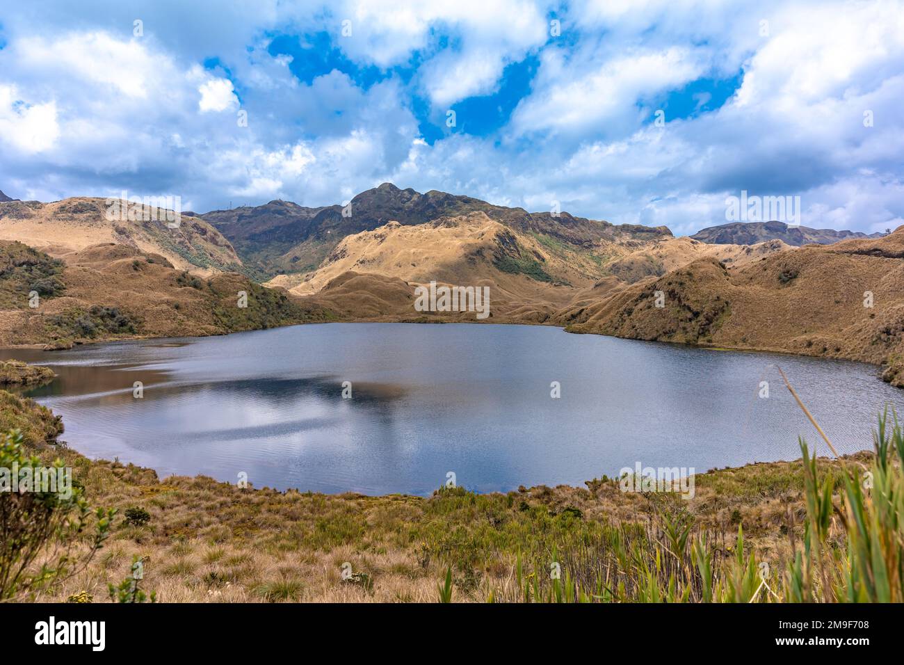 Cayambe Coca Ecological Reserve in Ecuador Stock Photo - Alamy