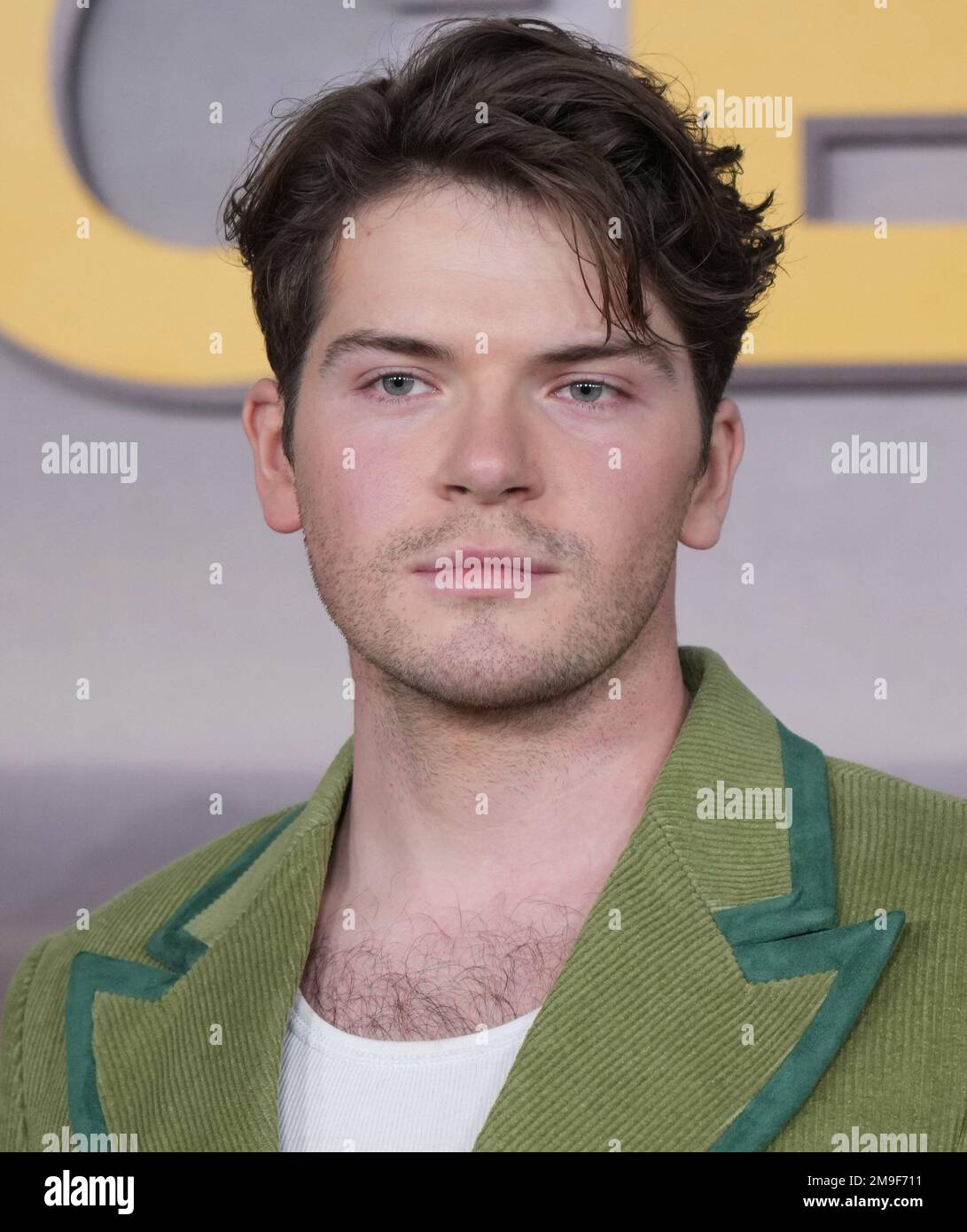 Los Angeles, USA. 17th Jan, 2023. Colton Ryan arrives at the Peacock''s ...