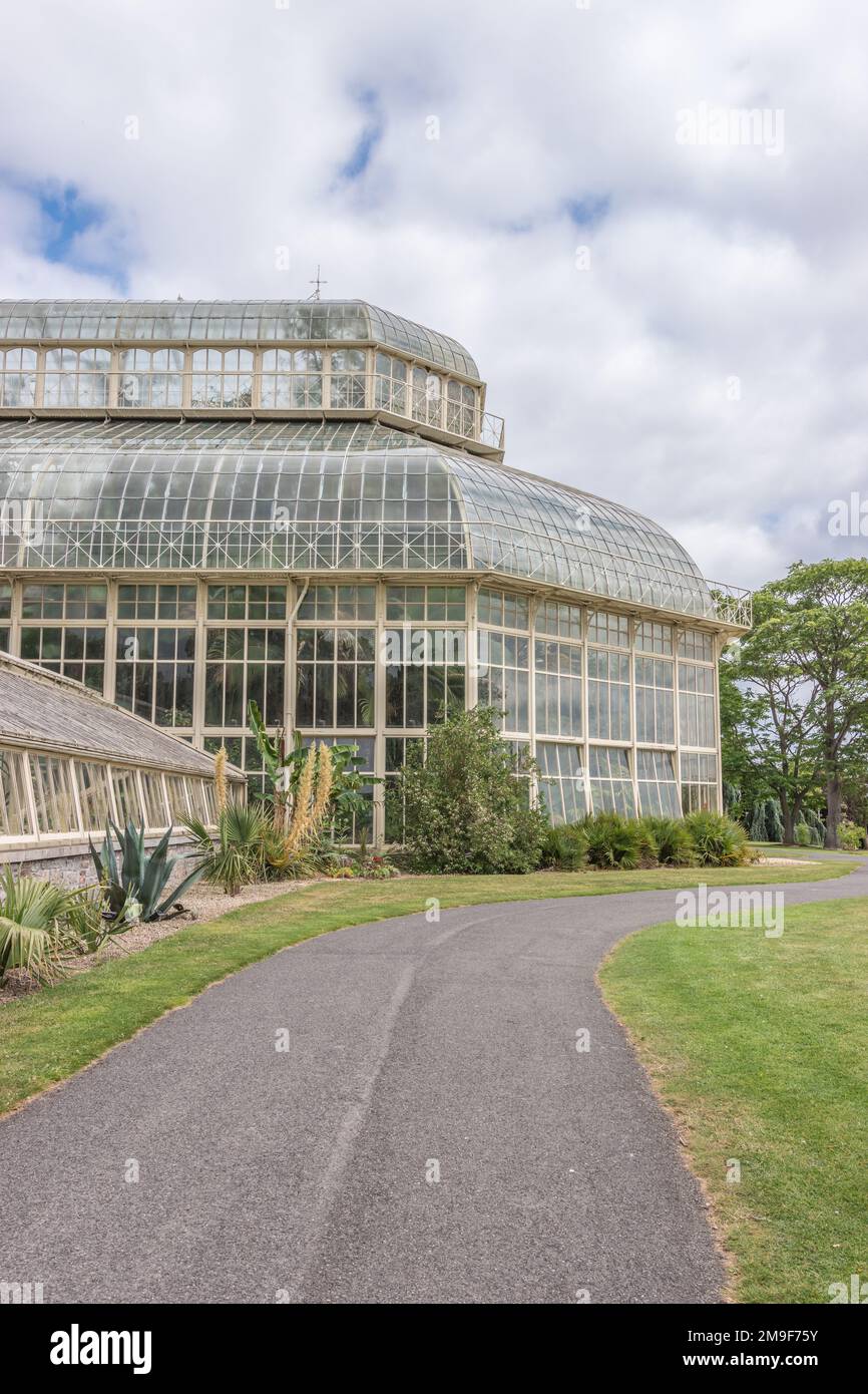 An asphalt road with meadows and plants near a green house in National ...