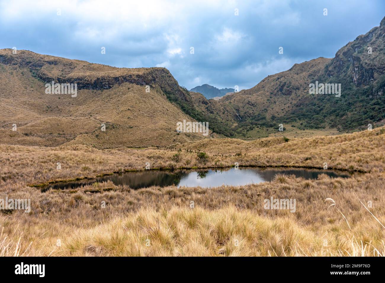 Cayambe Coca Ecological Reserve in Ecuador Stock Photo - Alamy