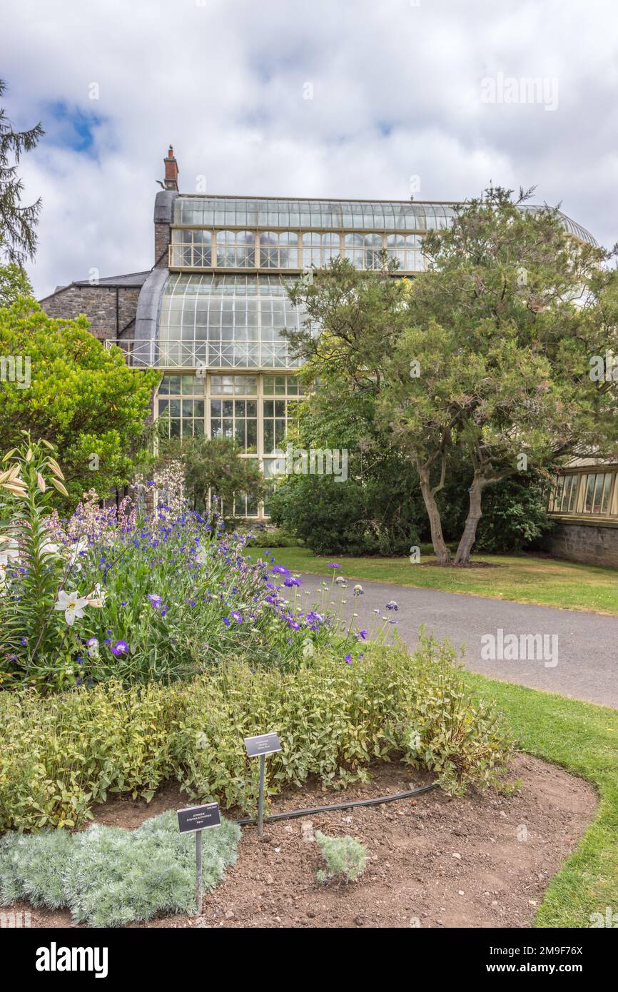 An asphalt road with green plants near a greenhouse in National Botanic ...