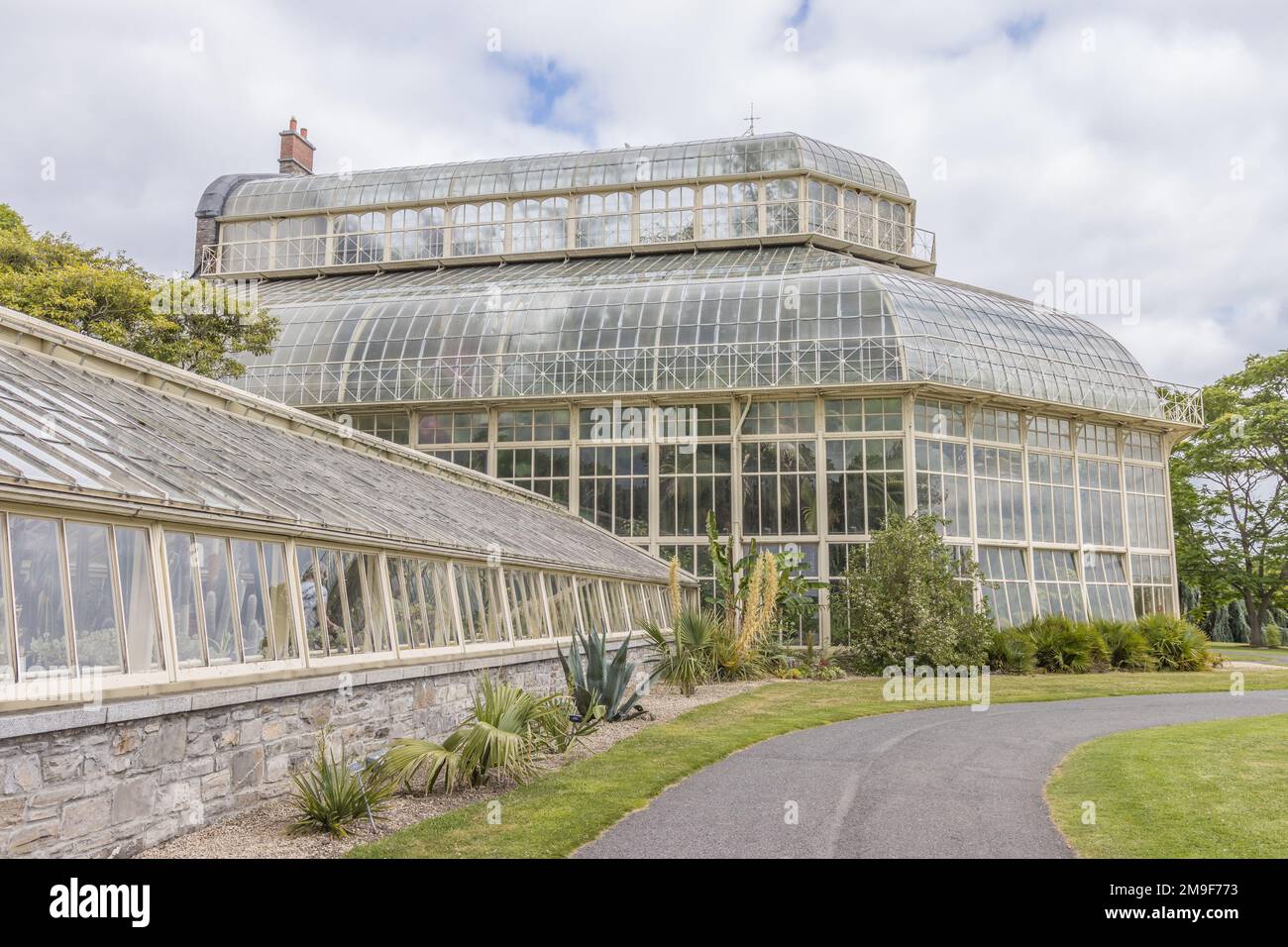 An asphalt road with meadows and plants near a greenhouse in National ...