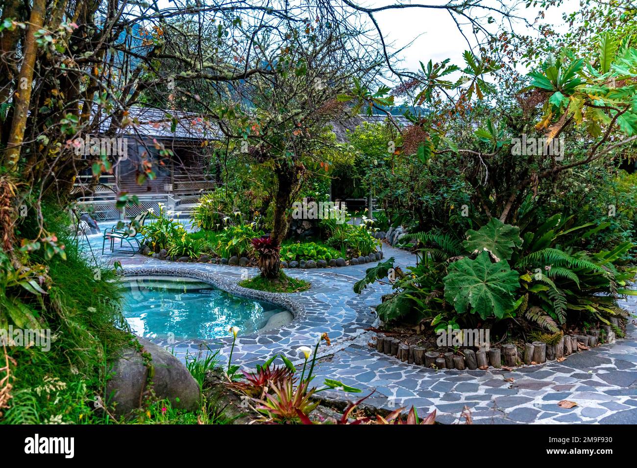 thermal baths in a nature reserve Stock Photo - Alamy