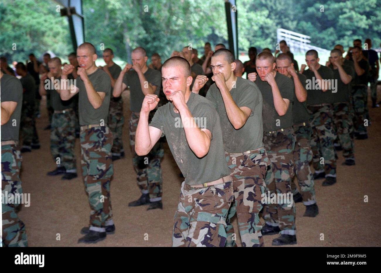 US Marine Recruits from Platoon 3069 practice hand to hand combat at ...