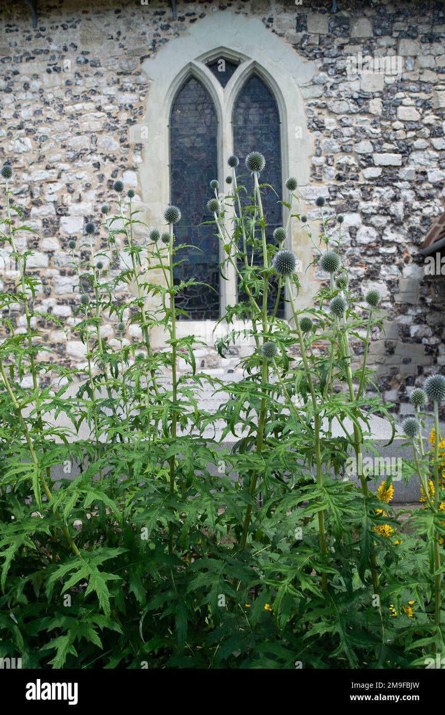 Chuch of the holy trinity hi-res stock photography and images - Alamy