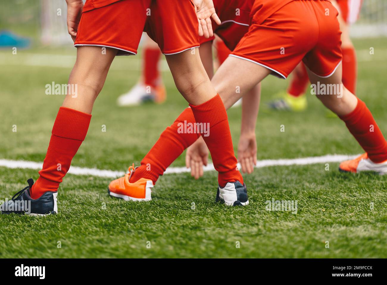Stretching session for young football players. Youth soccer players ...