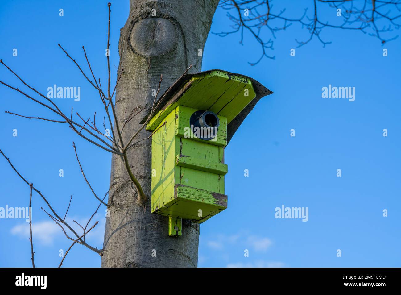 green bird house on tree Stock Photo - Alamy