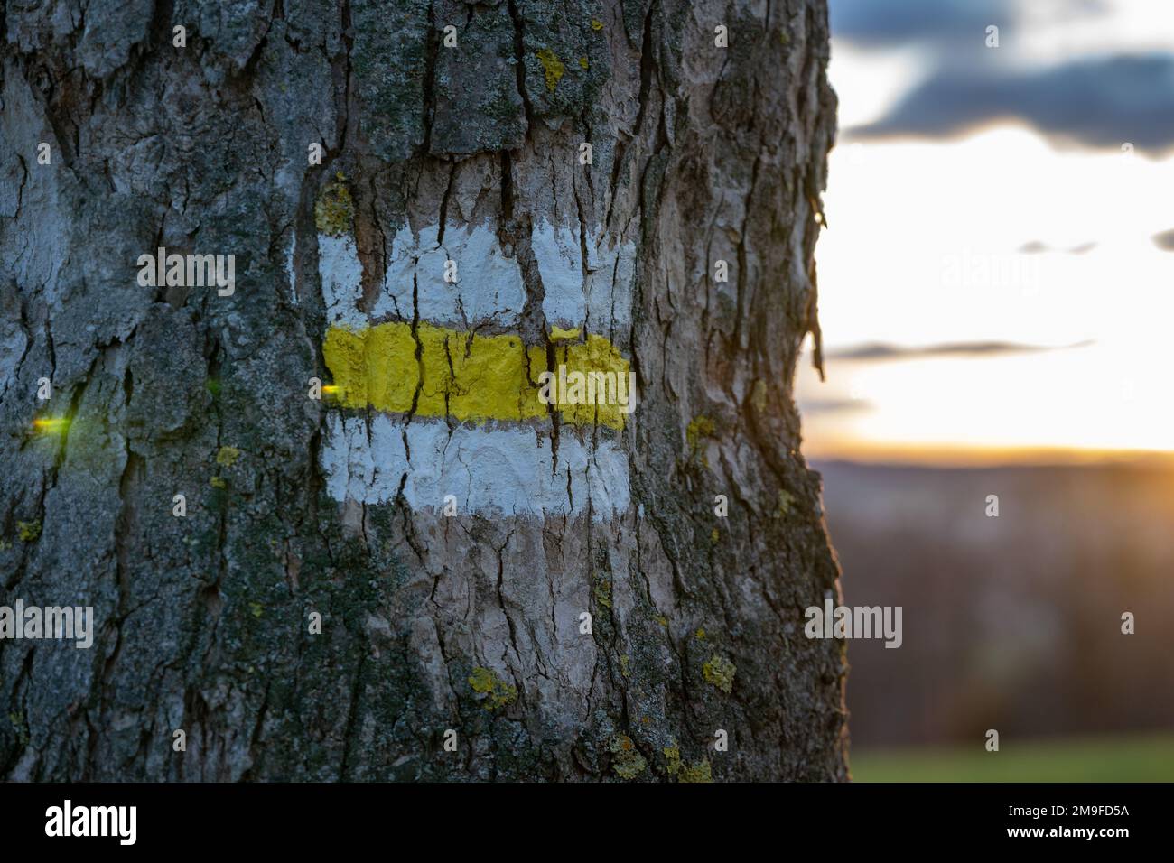 symbol sign of a hiking trail Stock Photo - Alamy