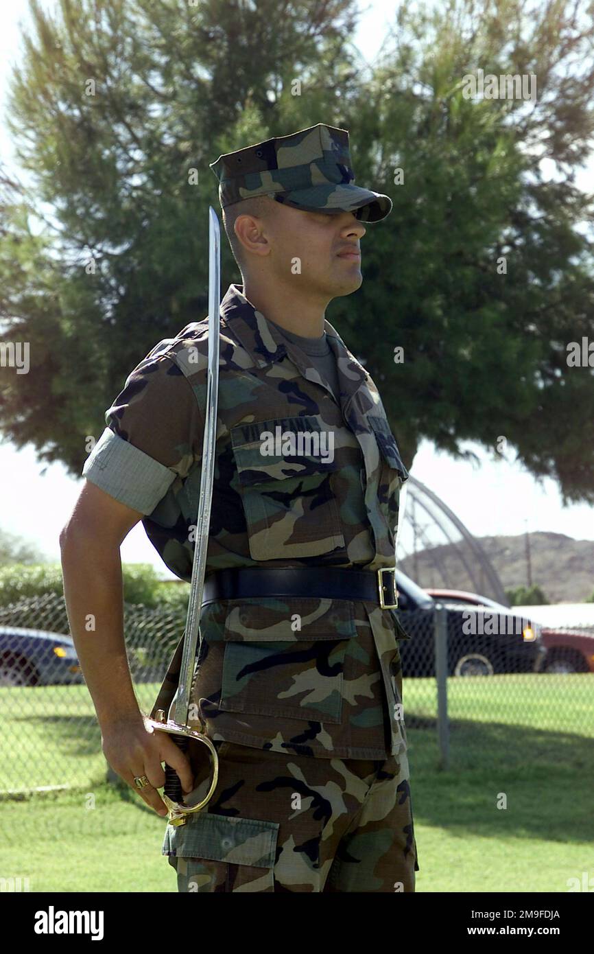 US Marine Corps Corporal (CPL) Villifana, Marine Aviation Logistics ...