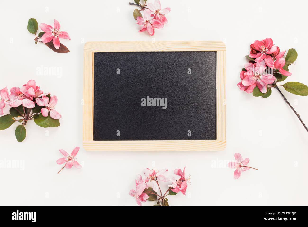 Empty message black board and fresh spring red flowers on white ...