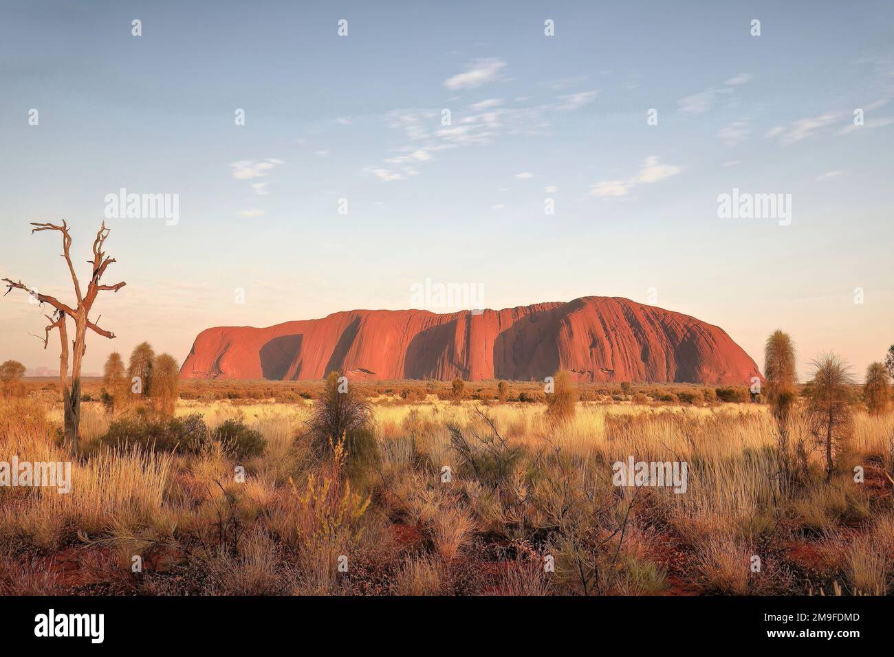 398 View of Uluru-Ayers Rock in the early morning under an almost clear ...