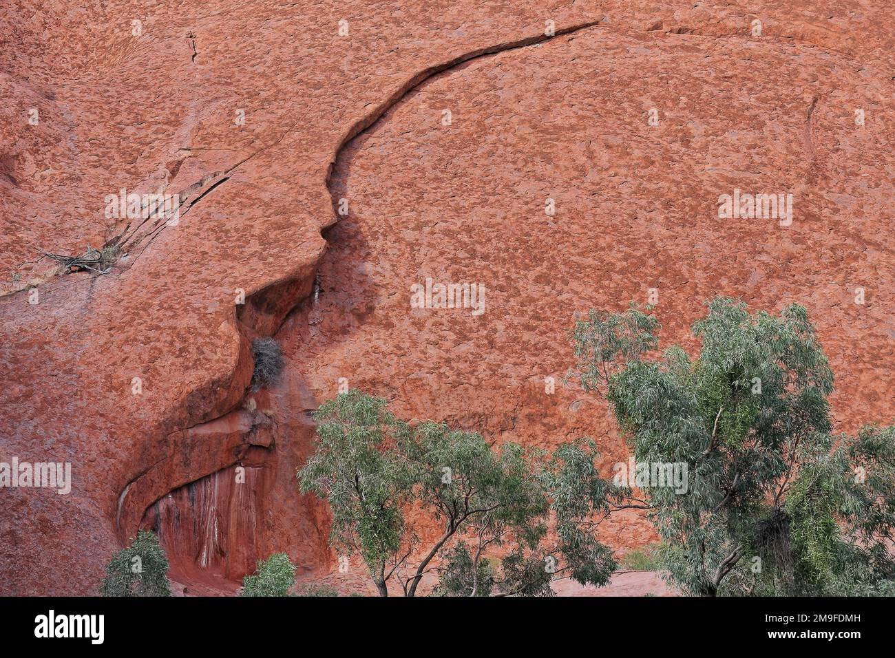 408 Big crevasse on the wall of Uluru-Ayers Rock seen from the base ...
