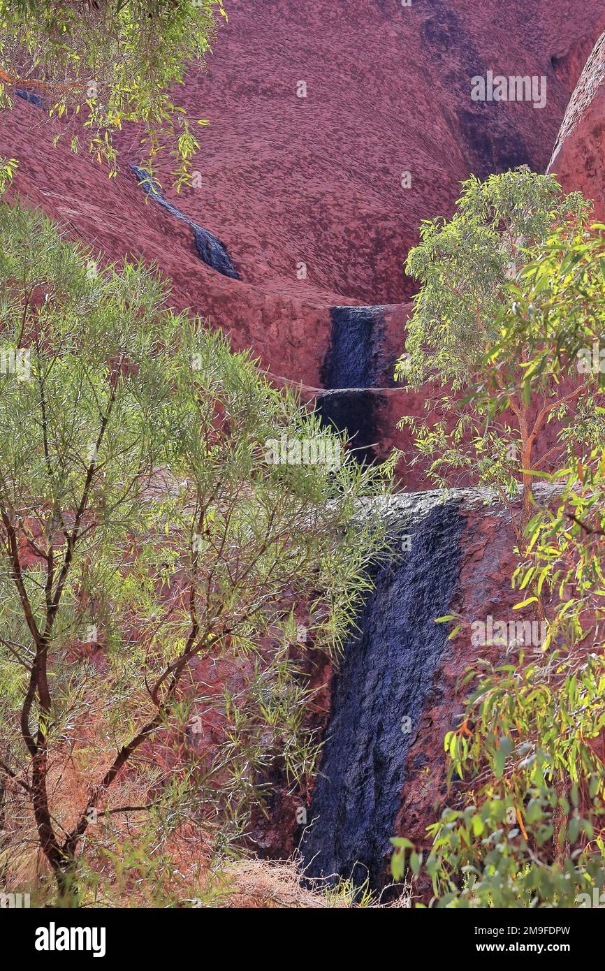 412 Dark algae-marked falling watermark in Uluru-Ayers Rock seen from ...