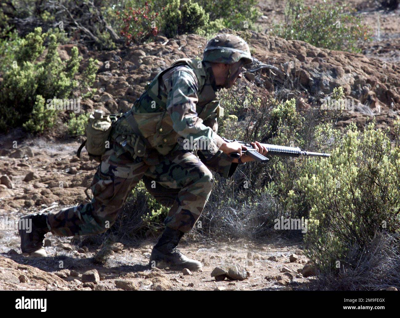 A US Marine from 2nd Battalion, 3rd Marines, Echo Company, armed with ...