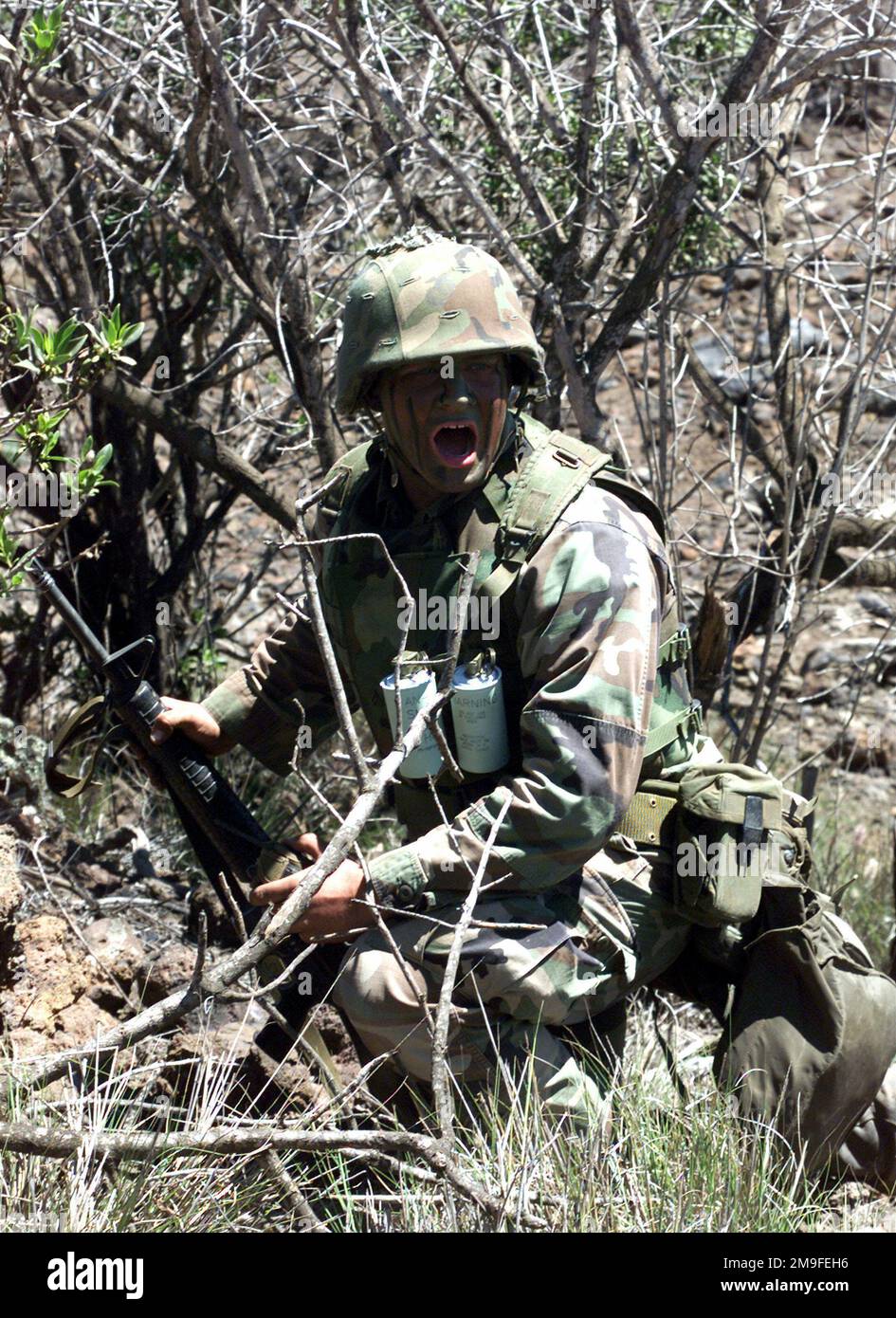 A US Marine from 2nd Battalion, 3rd Marines, Fox Company, armed with an ...