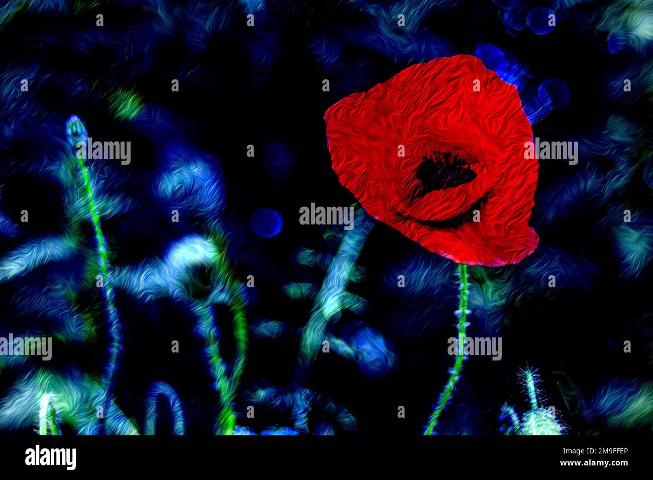 Poppy abstract art hi-res stock photography and images - Alamy