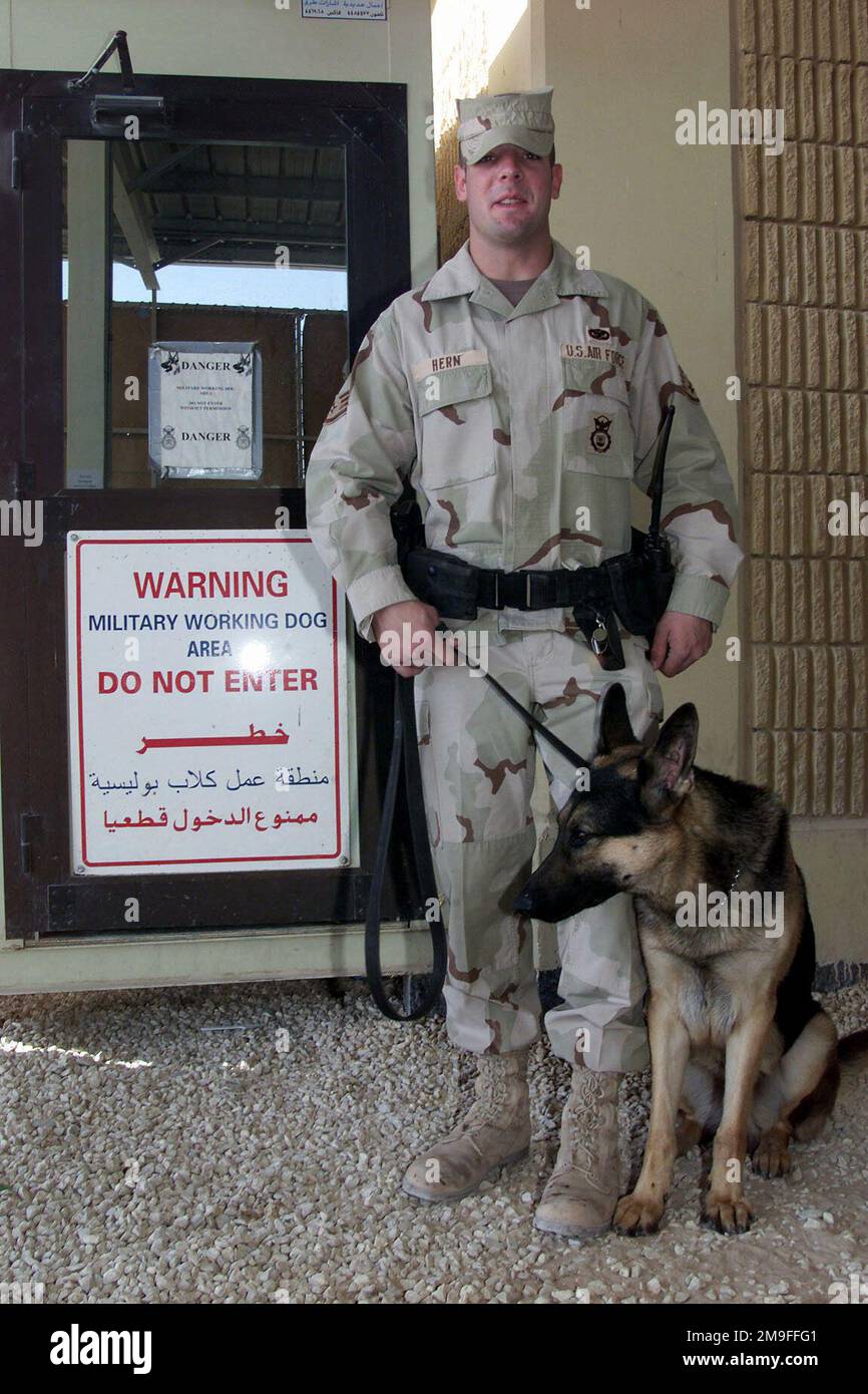 US Air Force STAFF Sergeant George L. Hern, 363rd Expeditionary ...