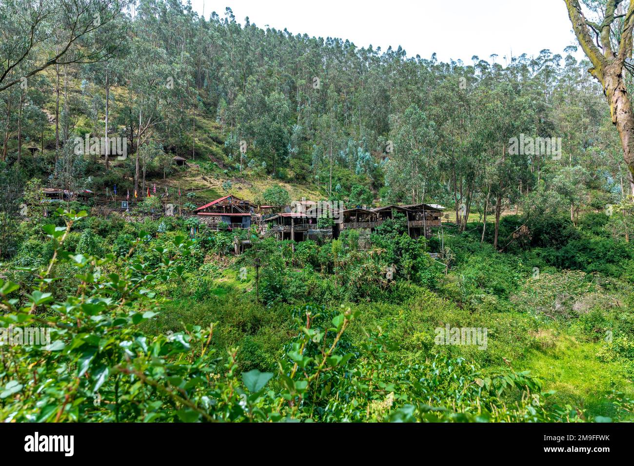 houses in trees, forest villages Stock Photo - Alamy