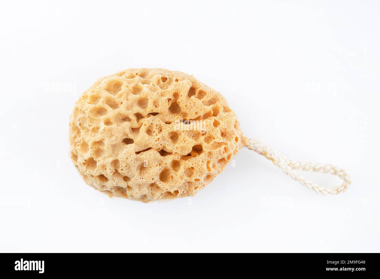 sponge isolated on white background, top view. the concept of gentle ...