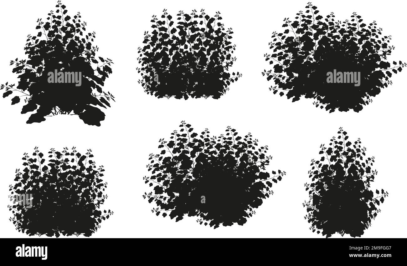 Realistic garden shrub, seasonal bush, boxwood, tree crown bush foliage ...