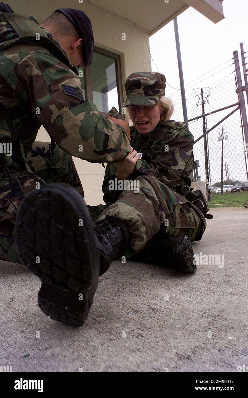 US Air Forces in Europe, Security Policeman, AIRMAN First Class Louis ...