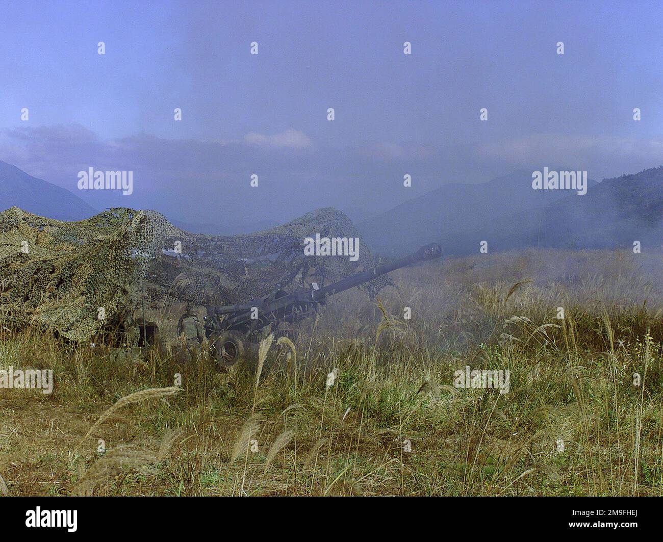 Artillery concealment hi-res stock photography and images - Alamy
